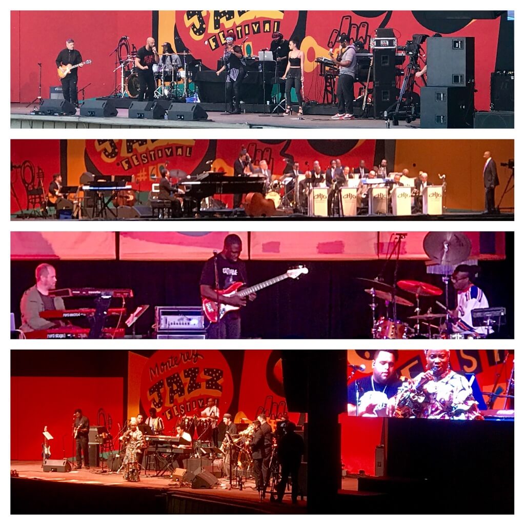 Stitch Pics - Terreon Gully